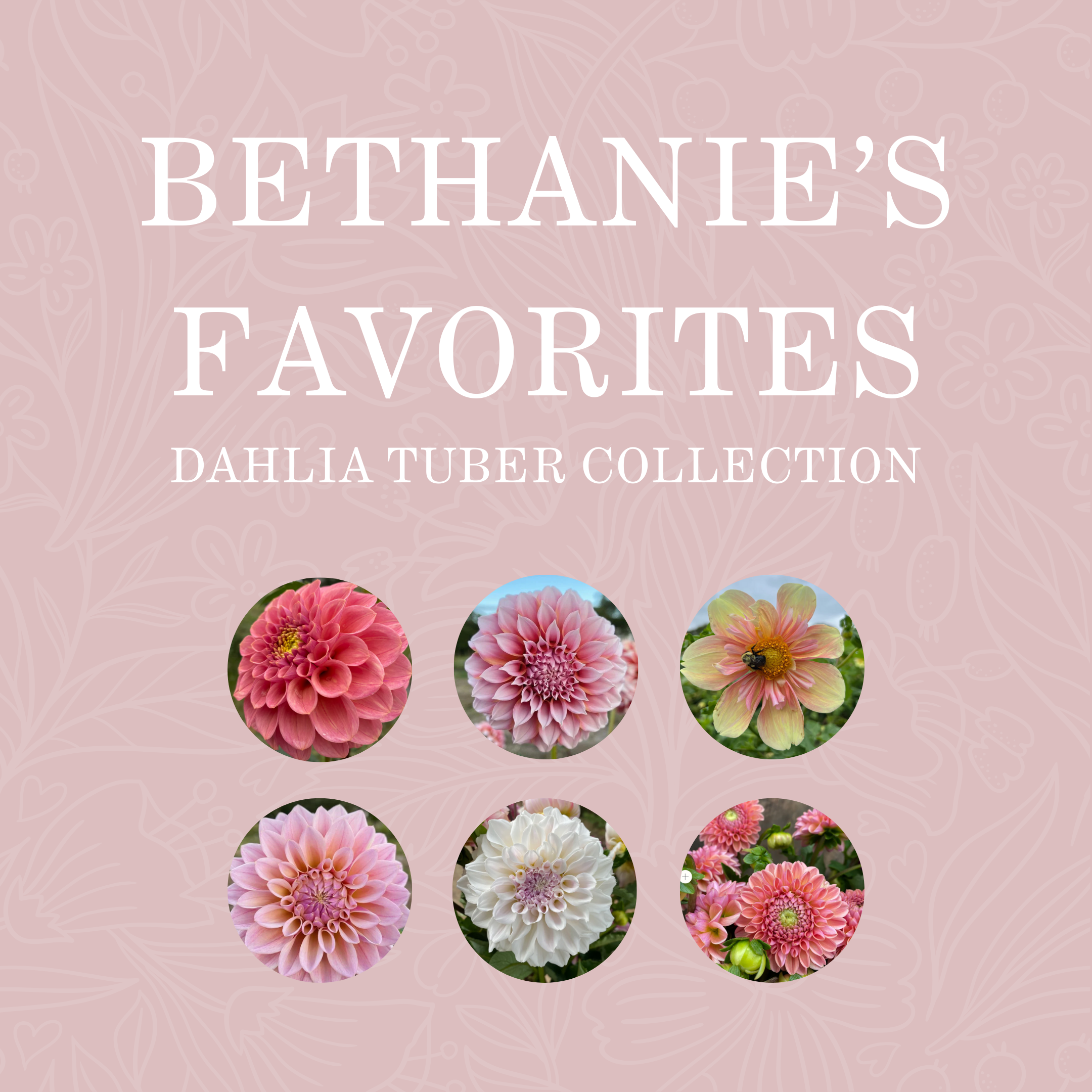 BETHANIE'S FAVORITES COLLECTION – Russells Mills Flower Company